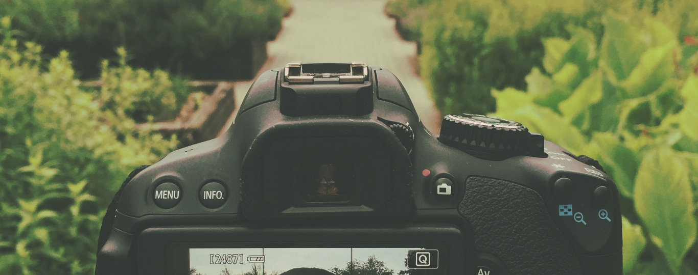 Things to Remember While Documenting Your Photos