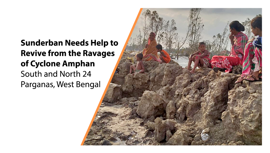 Sundarban needs hope and help to revive from the ravages of cyclone Amphan